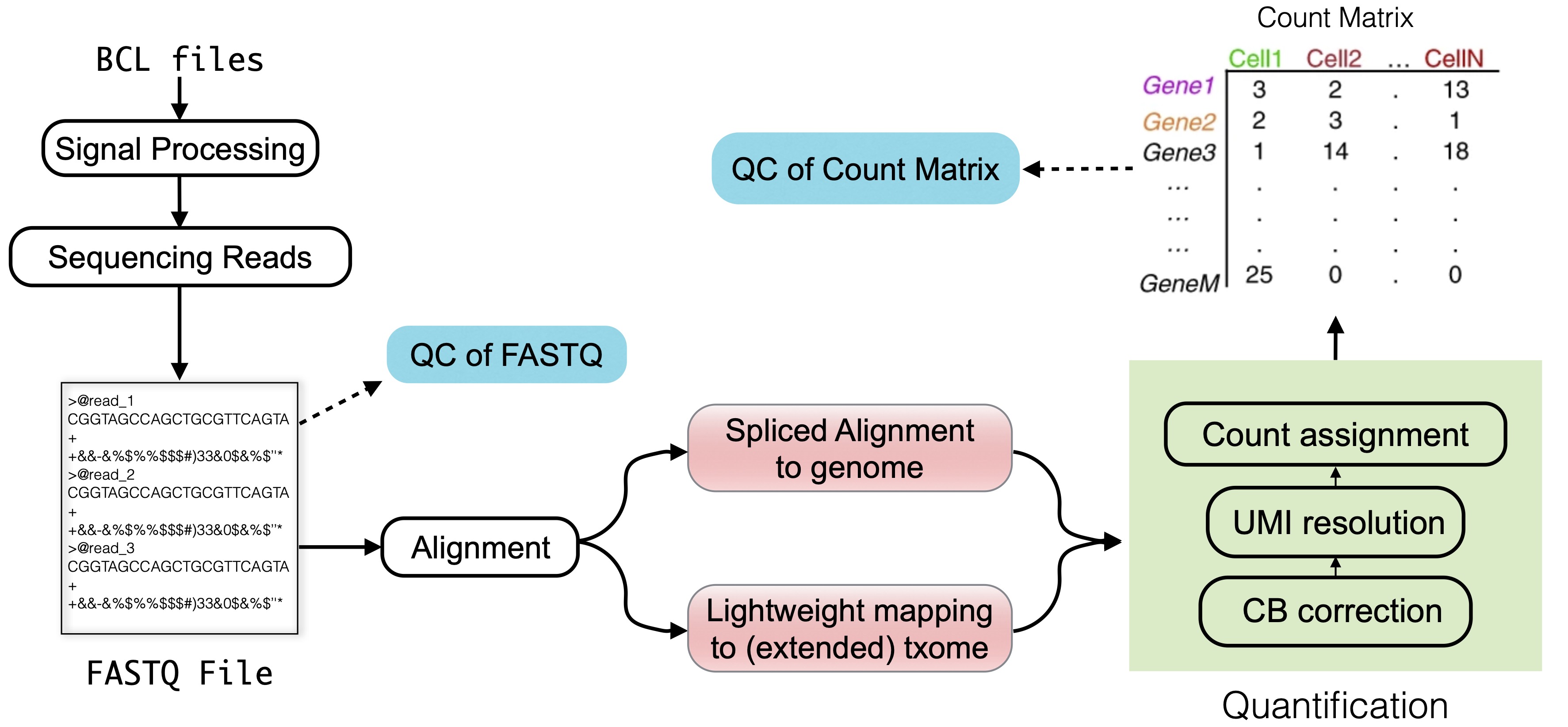 3 Raw Data Processing Single cell Best Practices